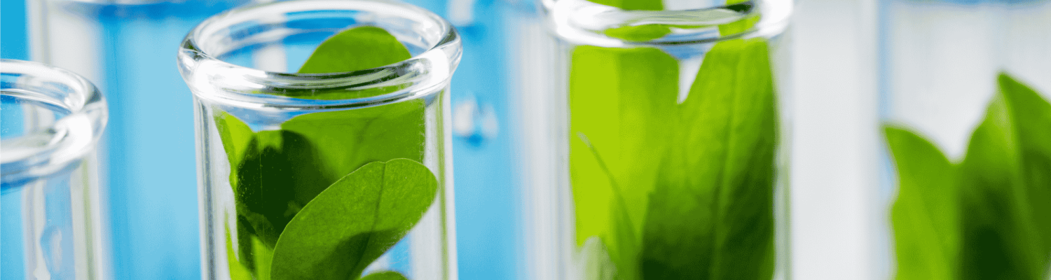 Natural Food Preservatives: A Clean-Label approach to longer shelf-life ...